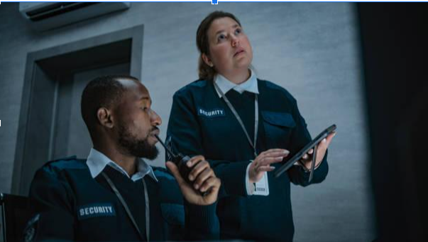 Our Service | Business Websites